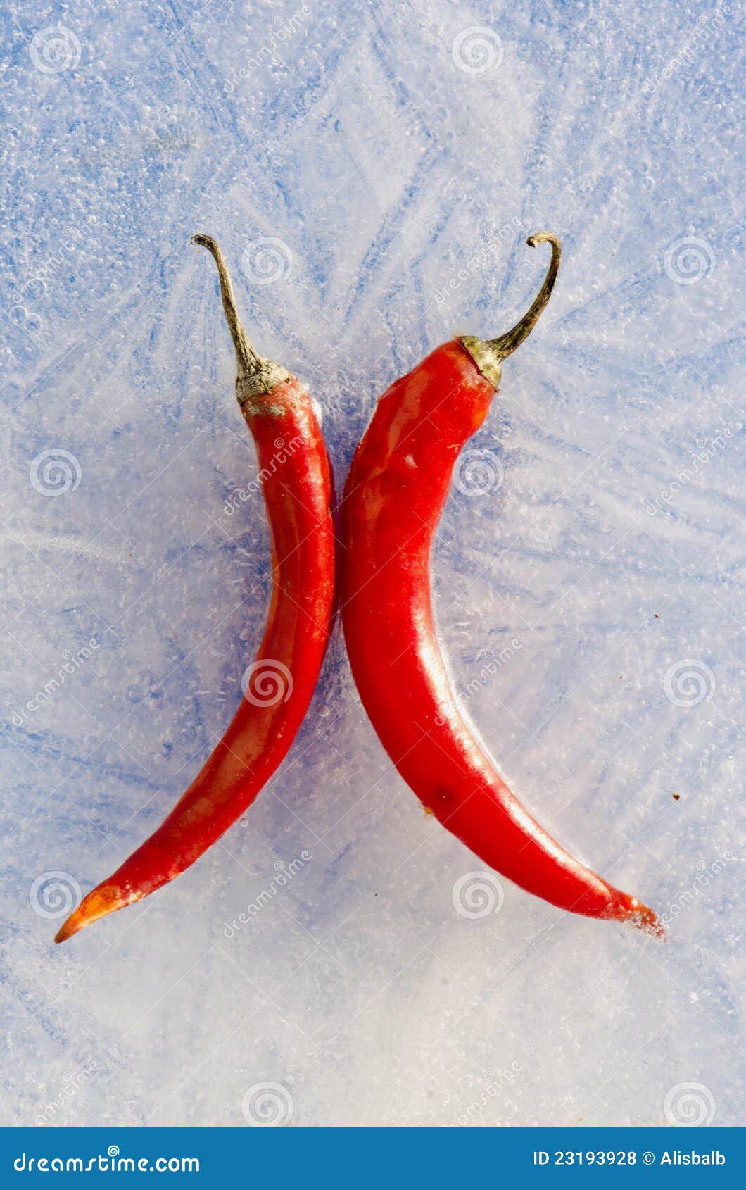 Two Red Chilli Peppers Frozen in Ice Stock Photo - Image of snow ...
