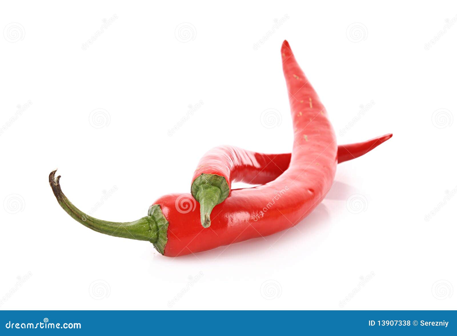 Two Red Chilly Pepper Isolated Stock Photo - Image of flavoring ...