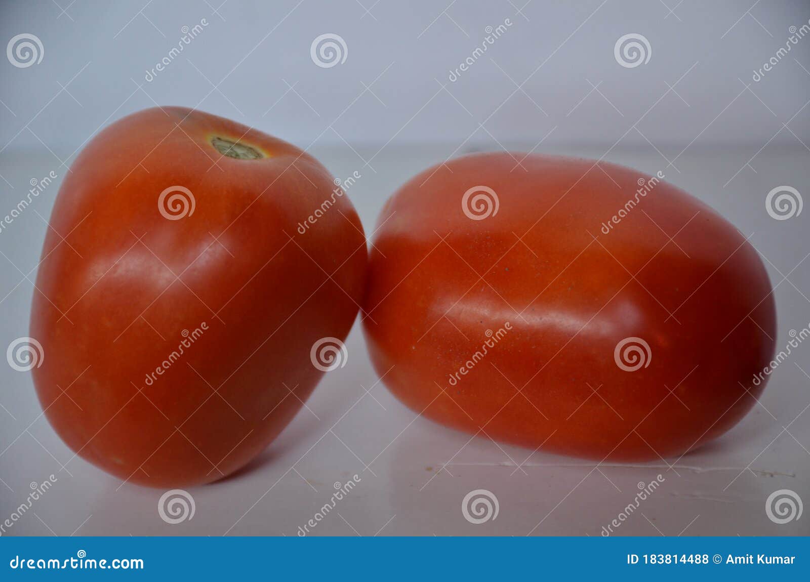 Two Red Colour Bright Tomato are Fresh and Nutritious Stock Photo ...
