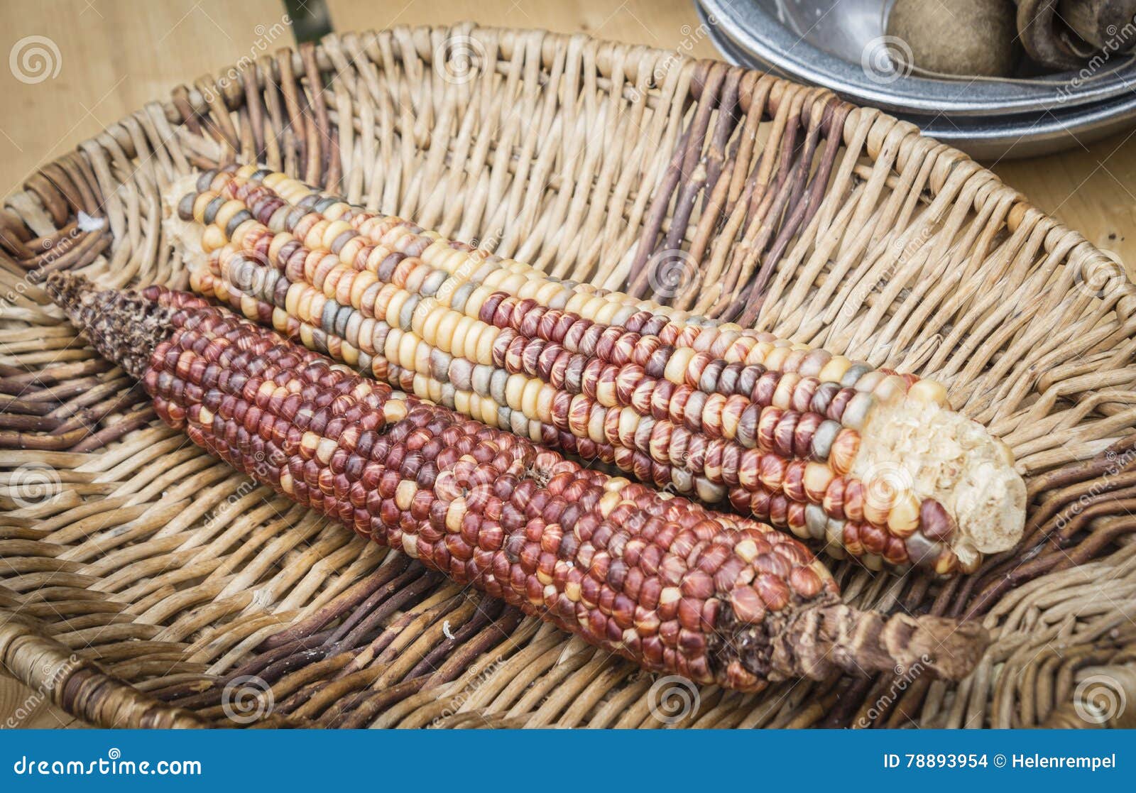 Two red corn stalks. stock photo. Image of harvest, season - 78893954