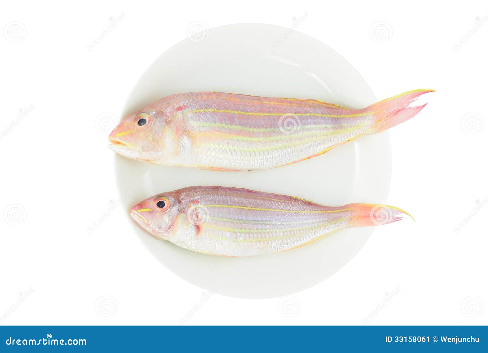 Two red fresh fish stock image. Image of tail, market - 33158061