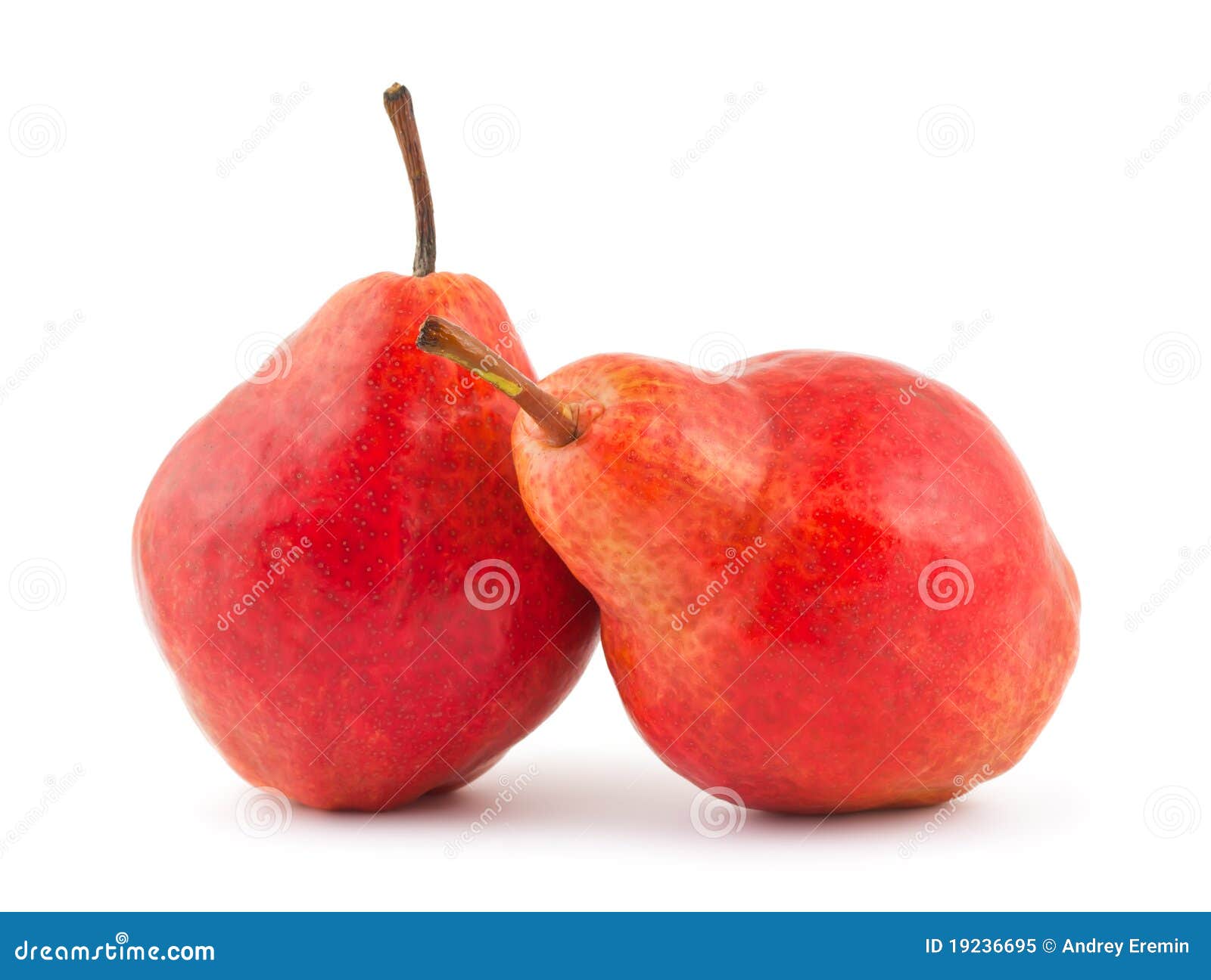 Two red pears stock image. Image of eating, food, healthy - 19236695