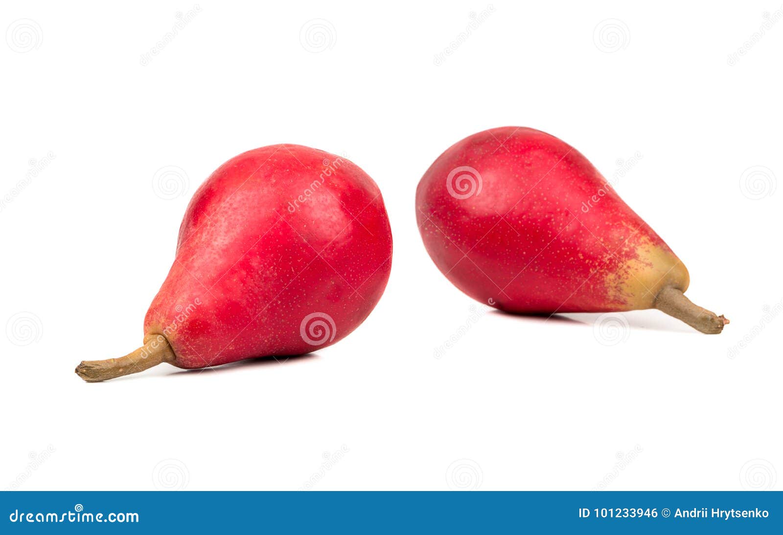 Two red pears stock photo. Image of green, dessert, shadow - 101233946