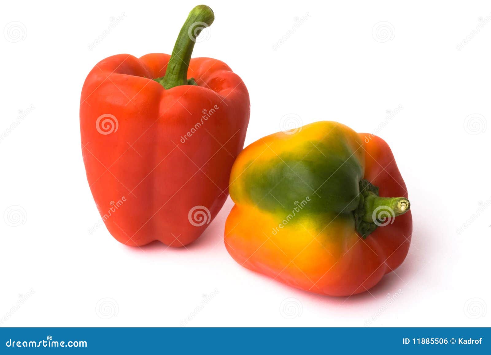 Two red peppers stock photo. Image of sweet, eating, pepper - 11885506
