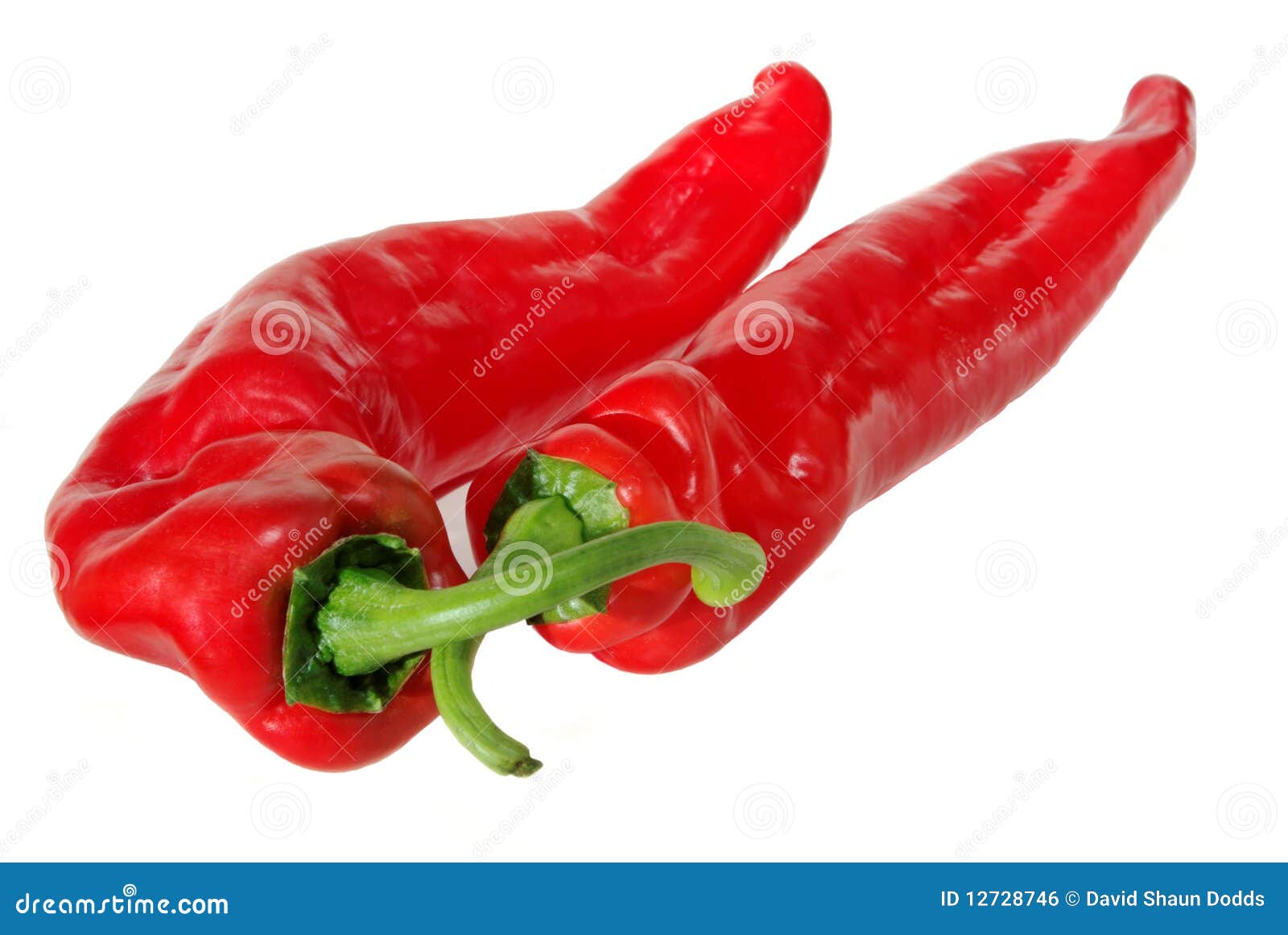 Two Red Peppers stock photo. Image of fresh, organic - 12728746