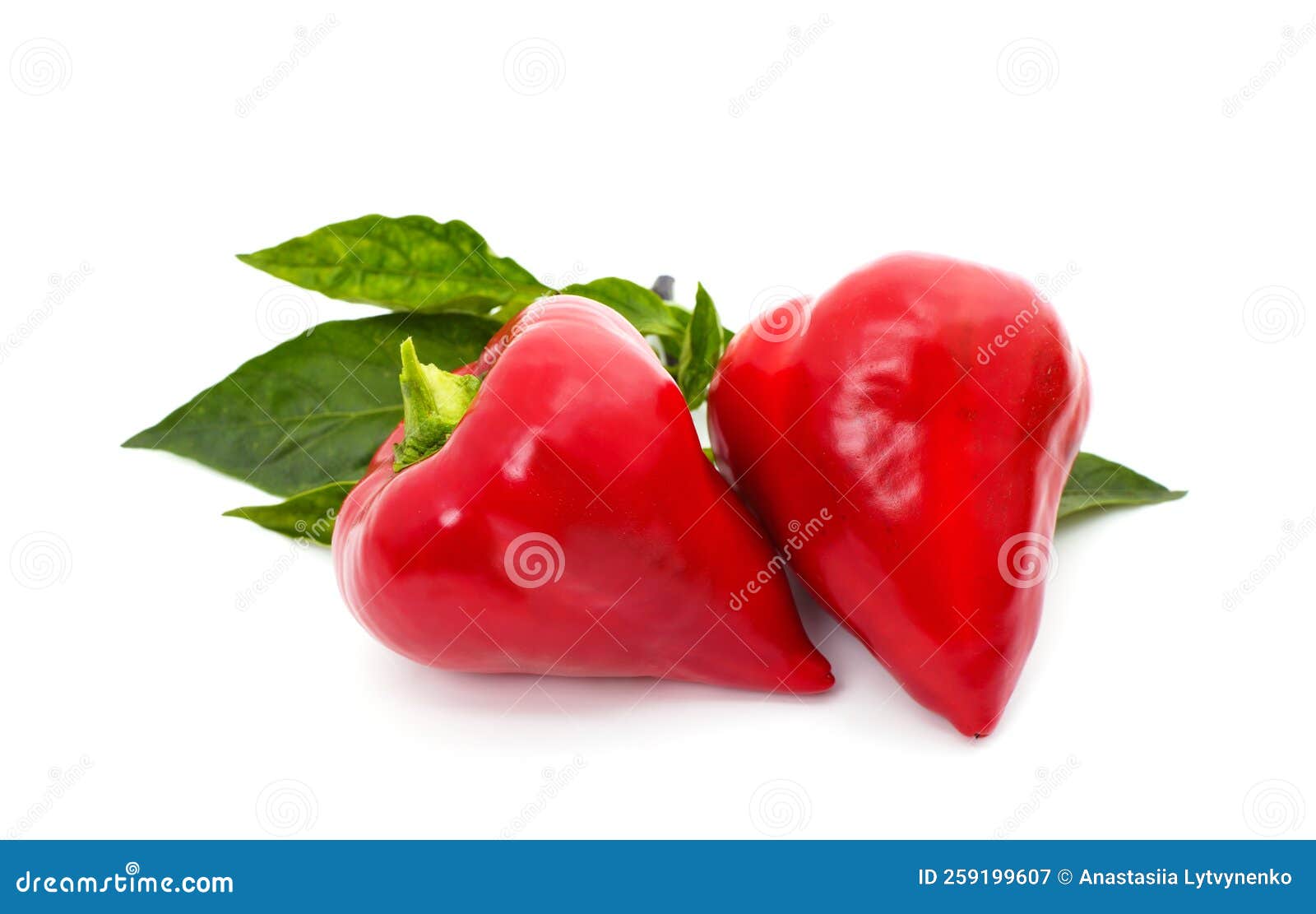 Two Red Peppers with Leaves Stock Image - Image of isolated, spicy ...