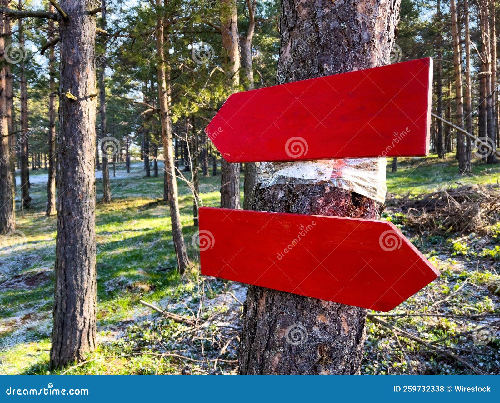 Two Red Pointer Arrows on a Tree Stock Photo - Image of nature, sign ...