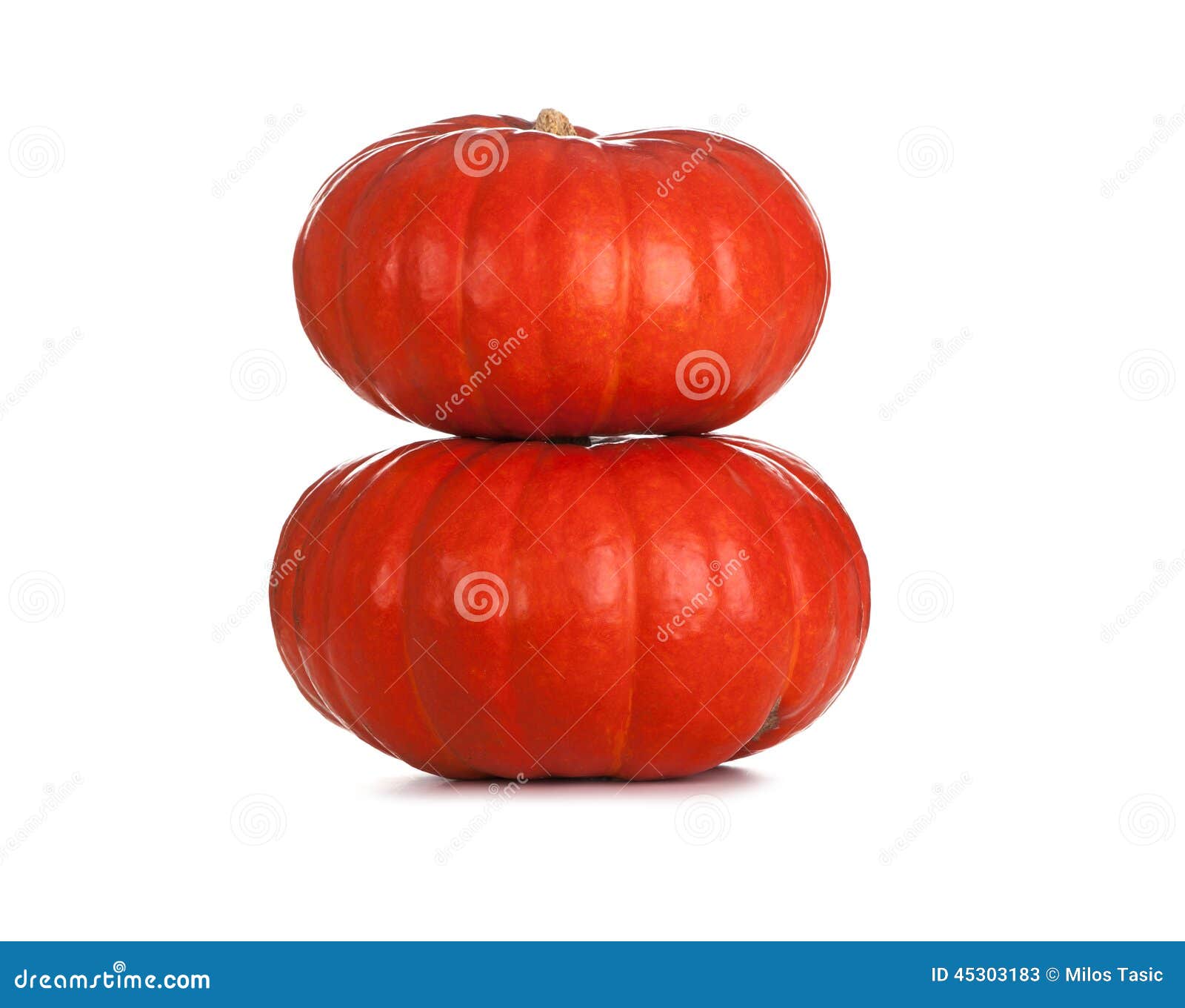 Two red pumpkins stock image. Image of decorative, harvest - 45303183