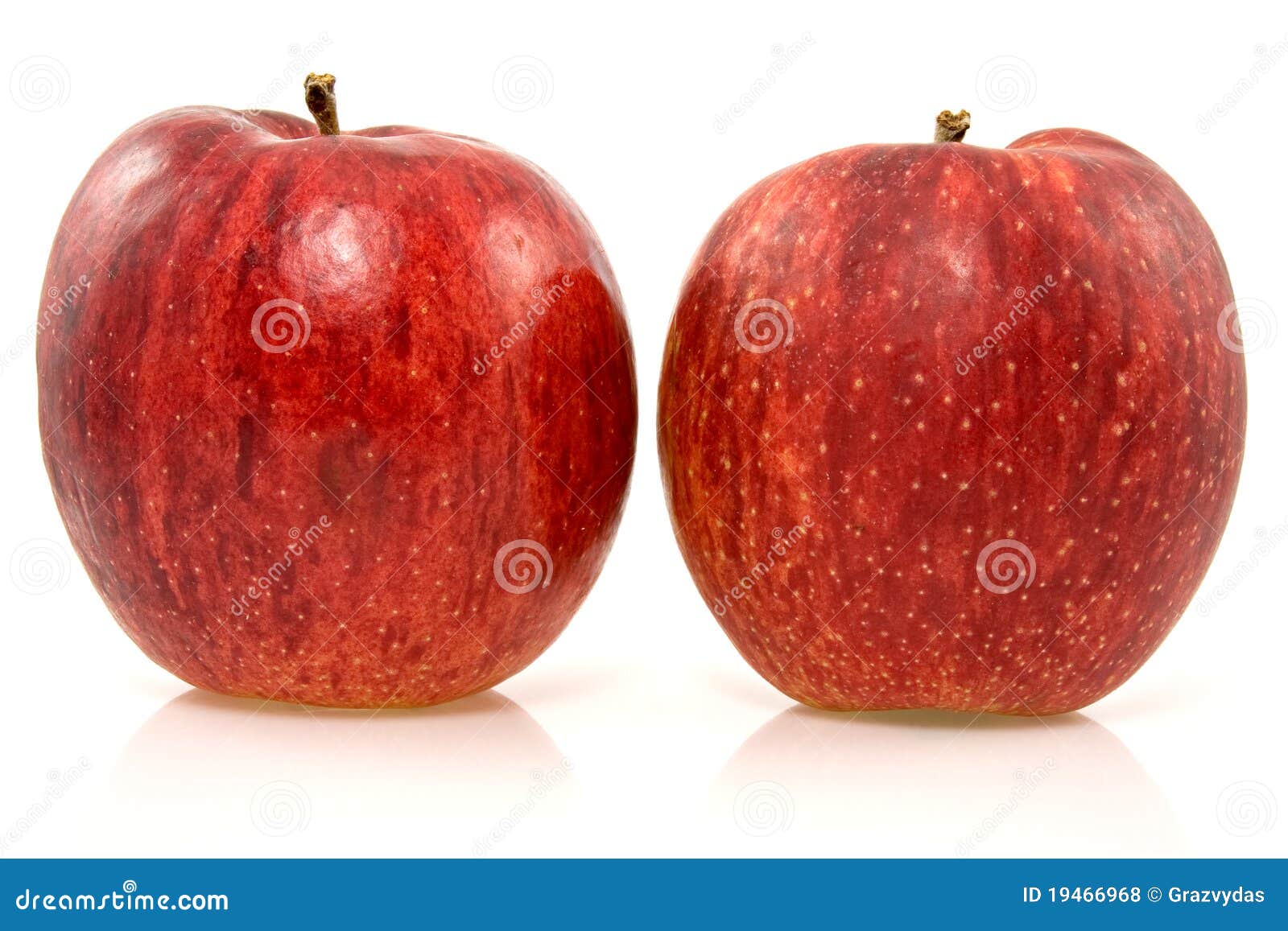 Two red rip apples stock photo. Image of nutrition, delicious - 19466968