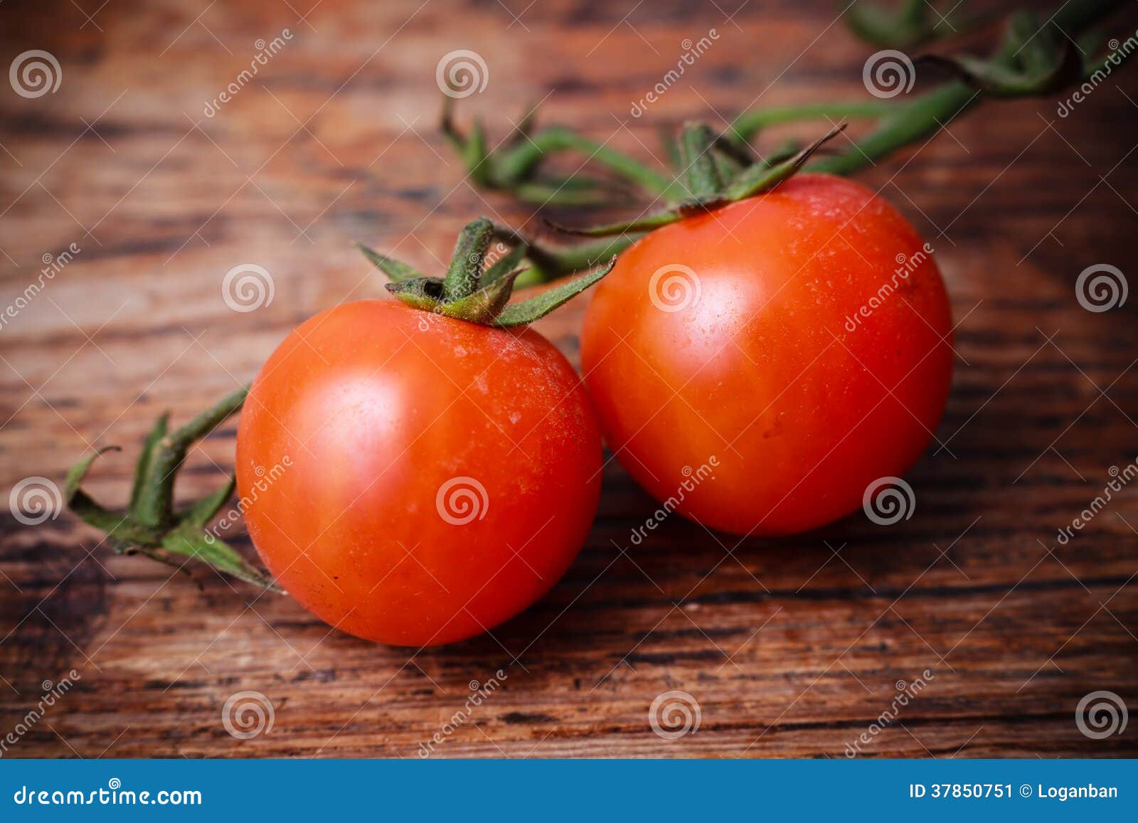 Two red tomatoes stock image. Image of close, tomatoes - 37850751