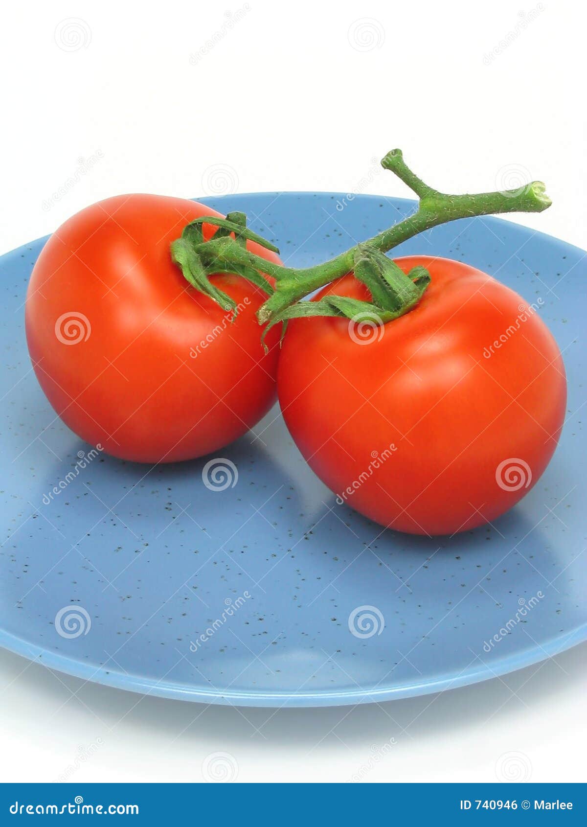 Two red tomatoes stock photo. Image of salad, stalk, vegan - 740946
