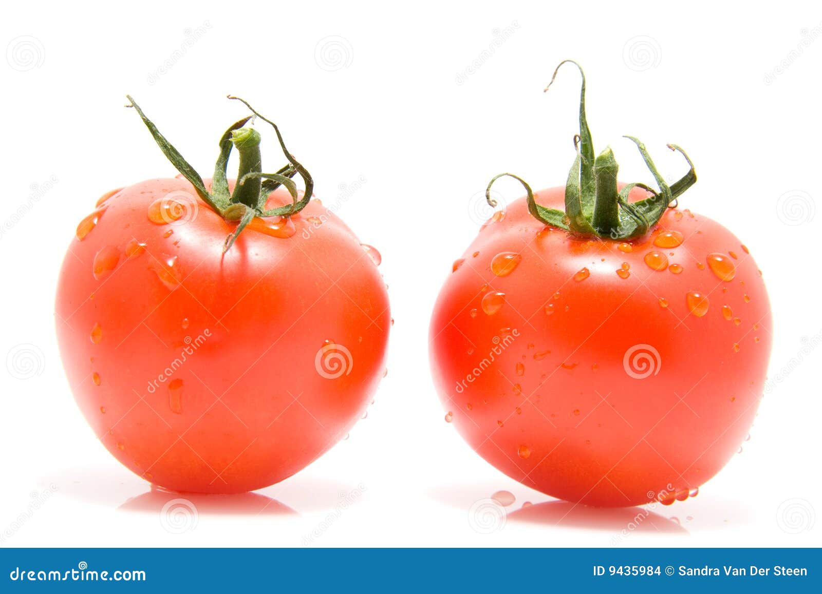 Two red tomatoes stock photo. Image of groceries, healthy - 9435984