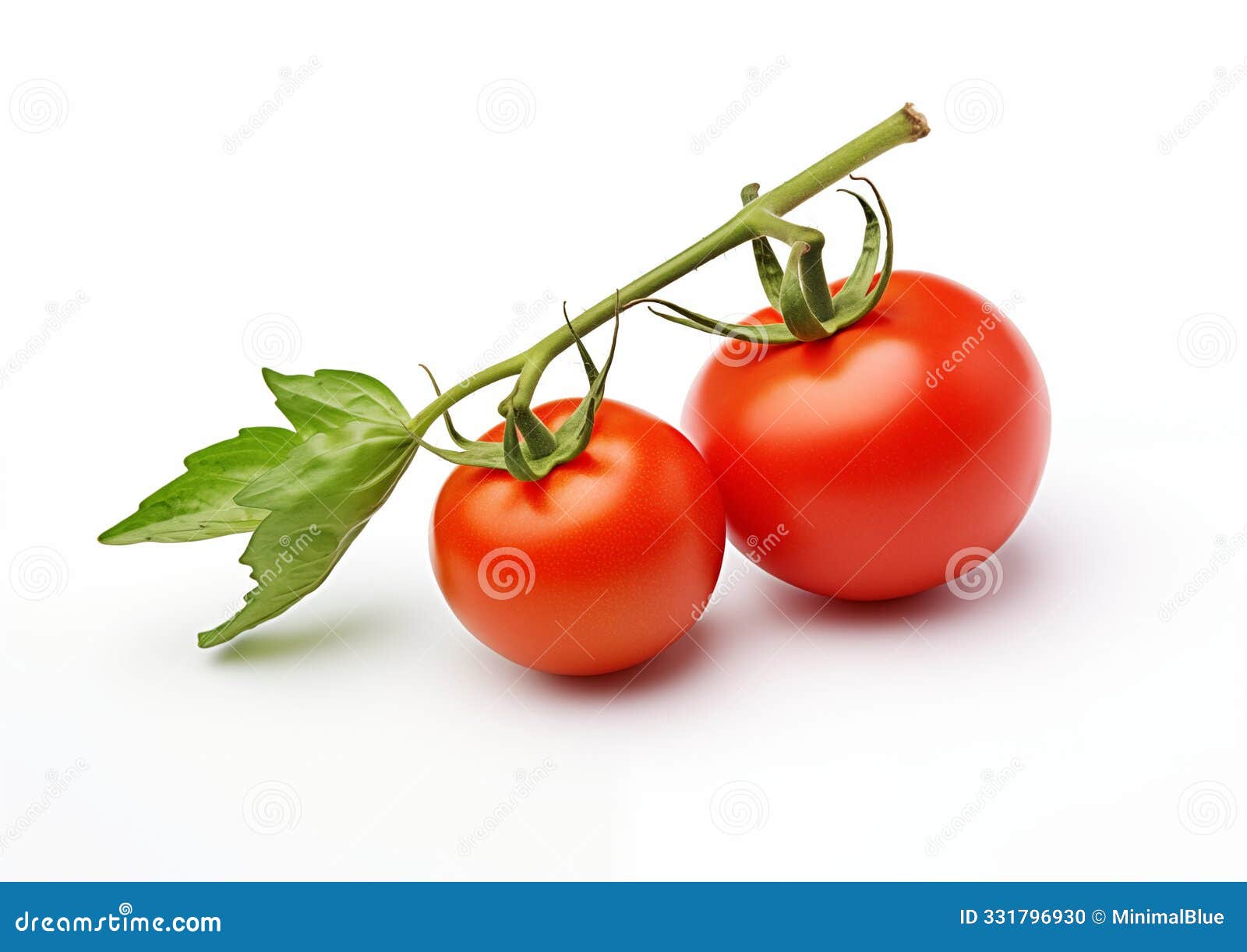 Two Red Tomatoes with Green Leaves on White Background Stock ...