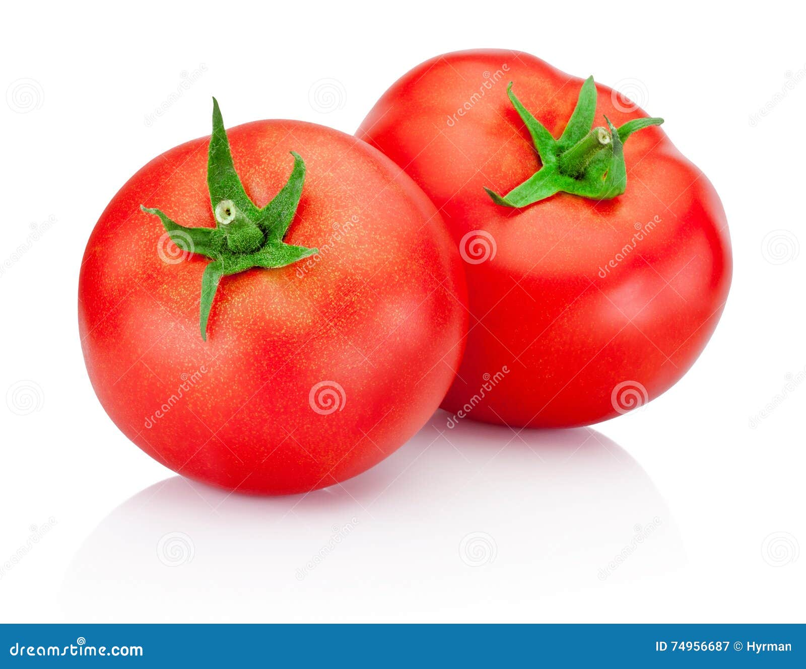 Two Red Tomatoes Isolated on White Background Stock Image - Image of ...