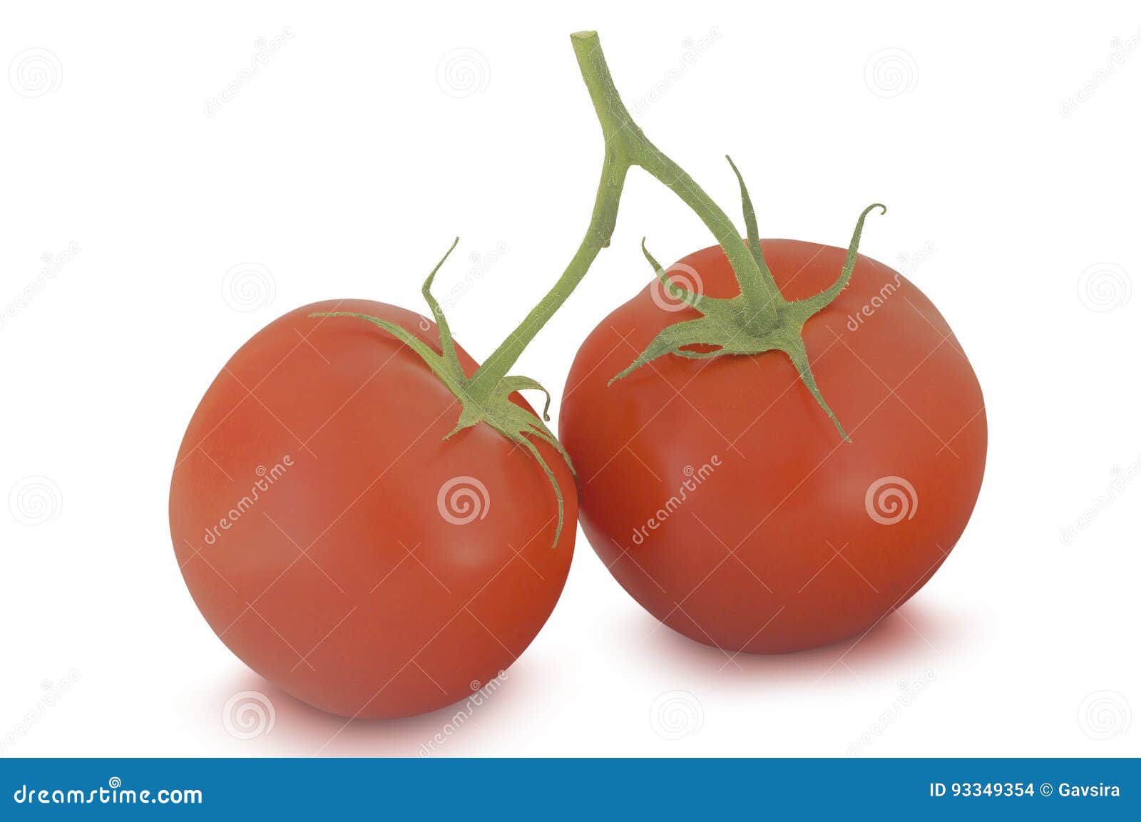 Two Red Tomatoes Isolated on White Background Stock Photo - Image of ...