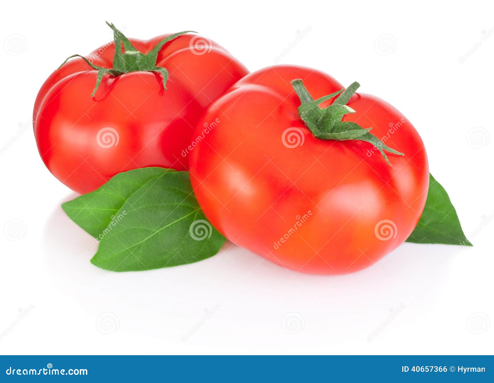 Two Red Tomatoes and Leaves Isolated on White Stock Photo - Image of ...