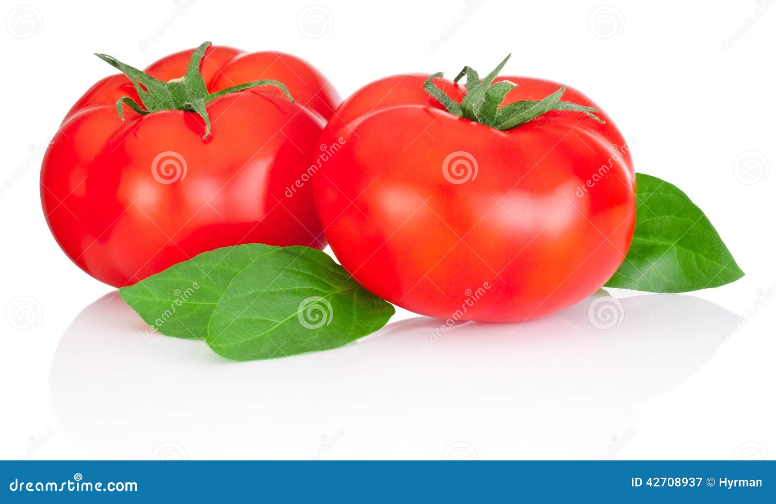 Two Red Tomatoes and Leaves Isolated on White Background Stock Image ...