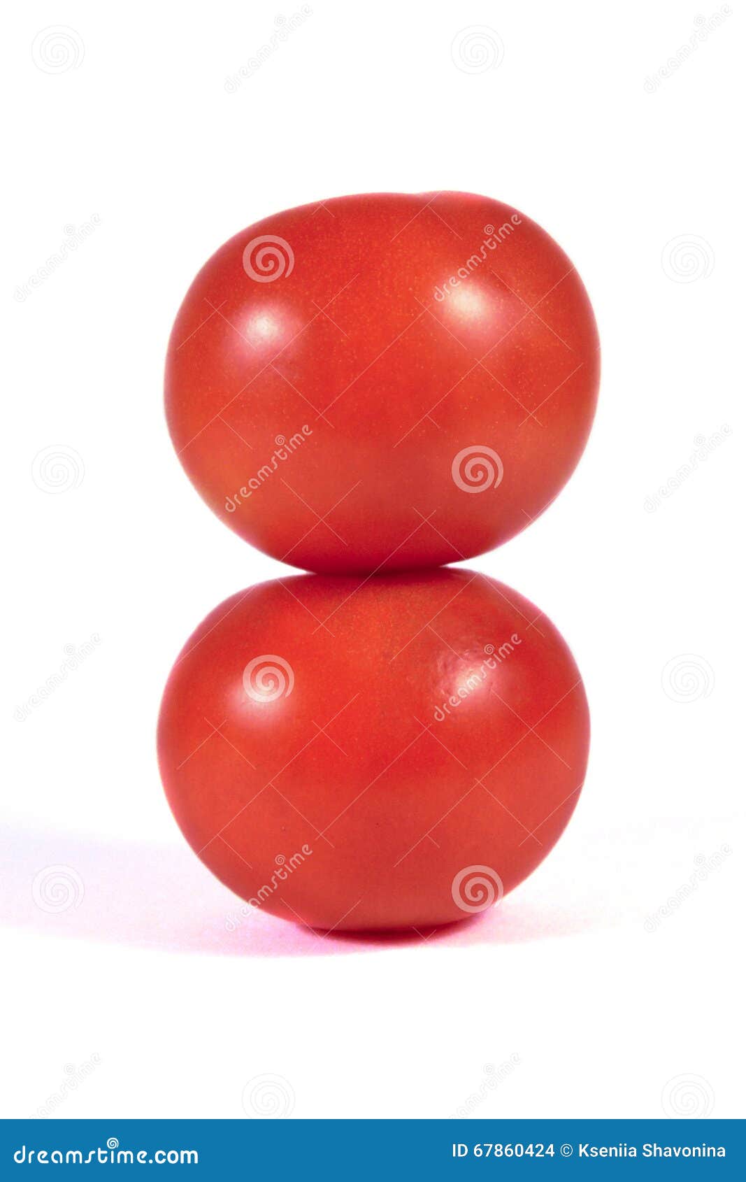 Two Red Tomatoes Macro or Close Up on Each Other Isolated Stock Photo ...