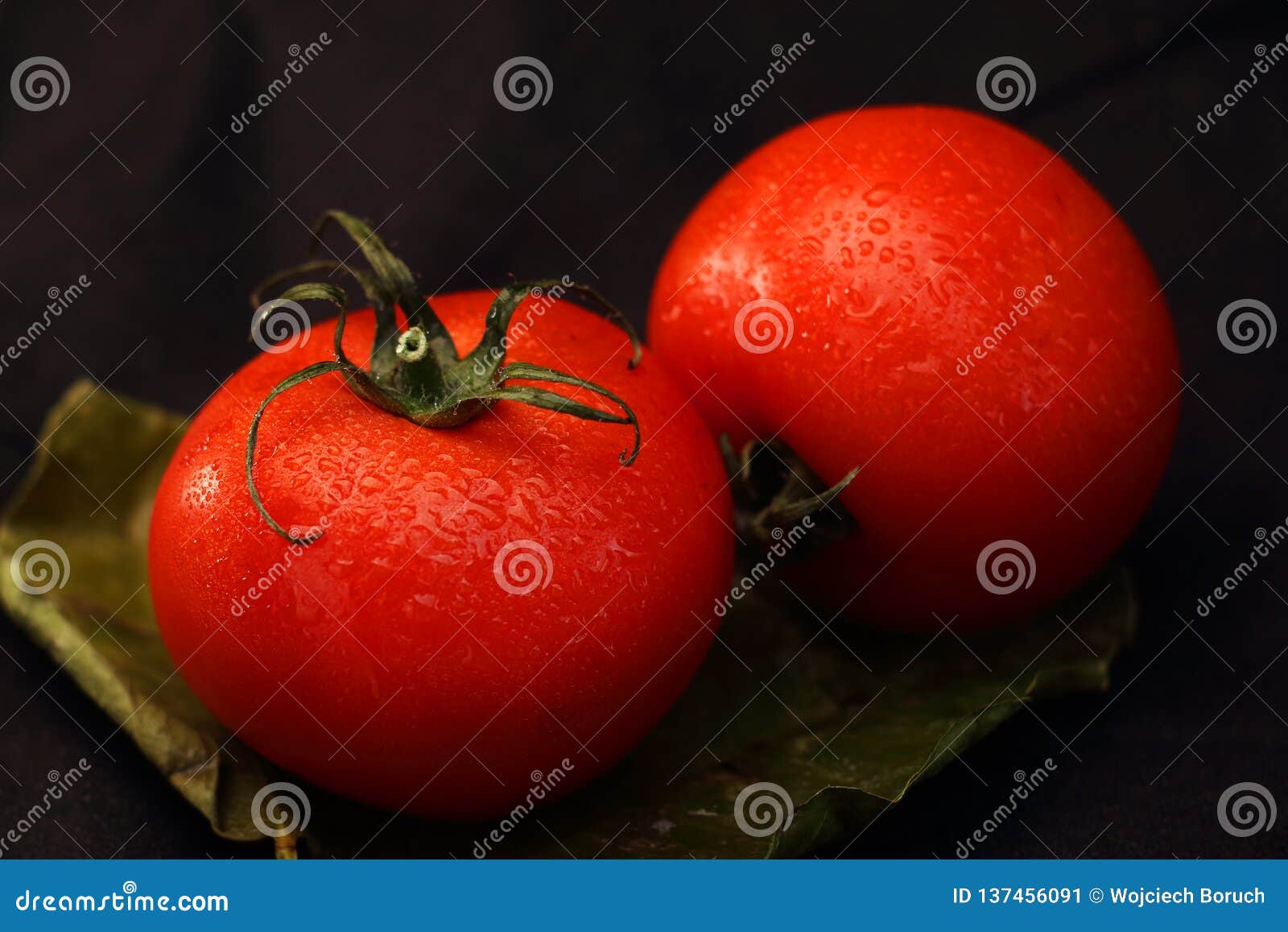 Two red tomatoes on sheets stock image. Image of leaves - 137456091