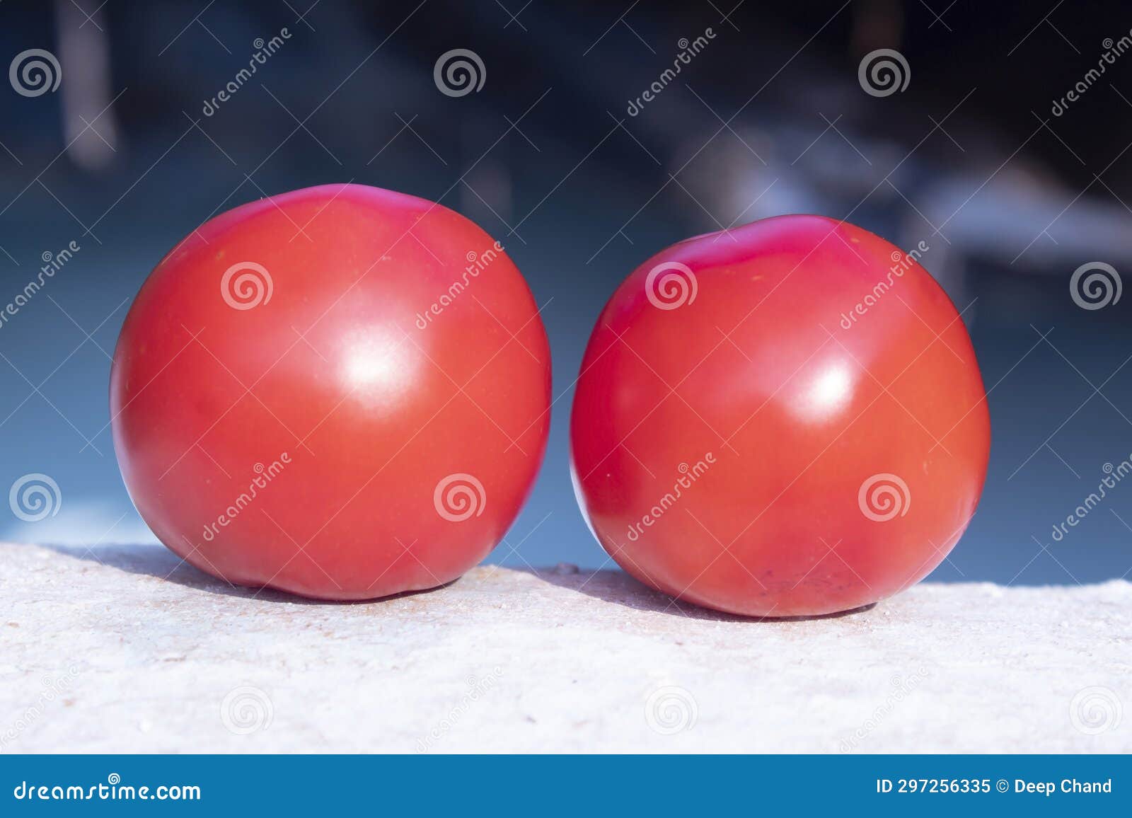 Two Red Tomatoes on a Stone Table in Front of a Blue Stock Image ...