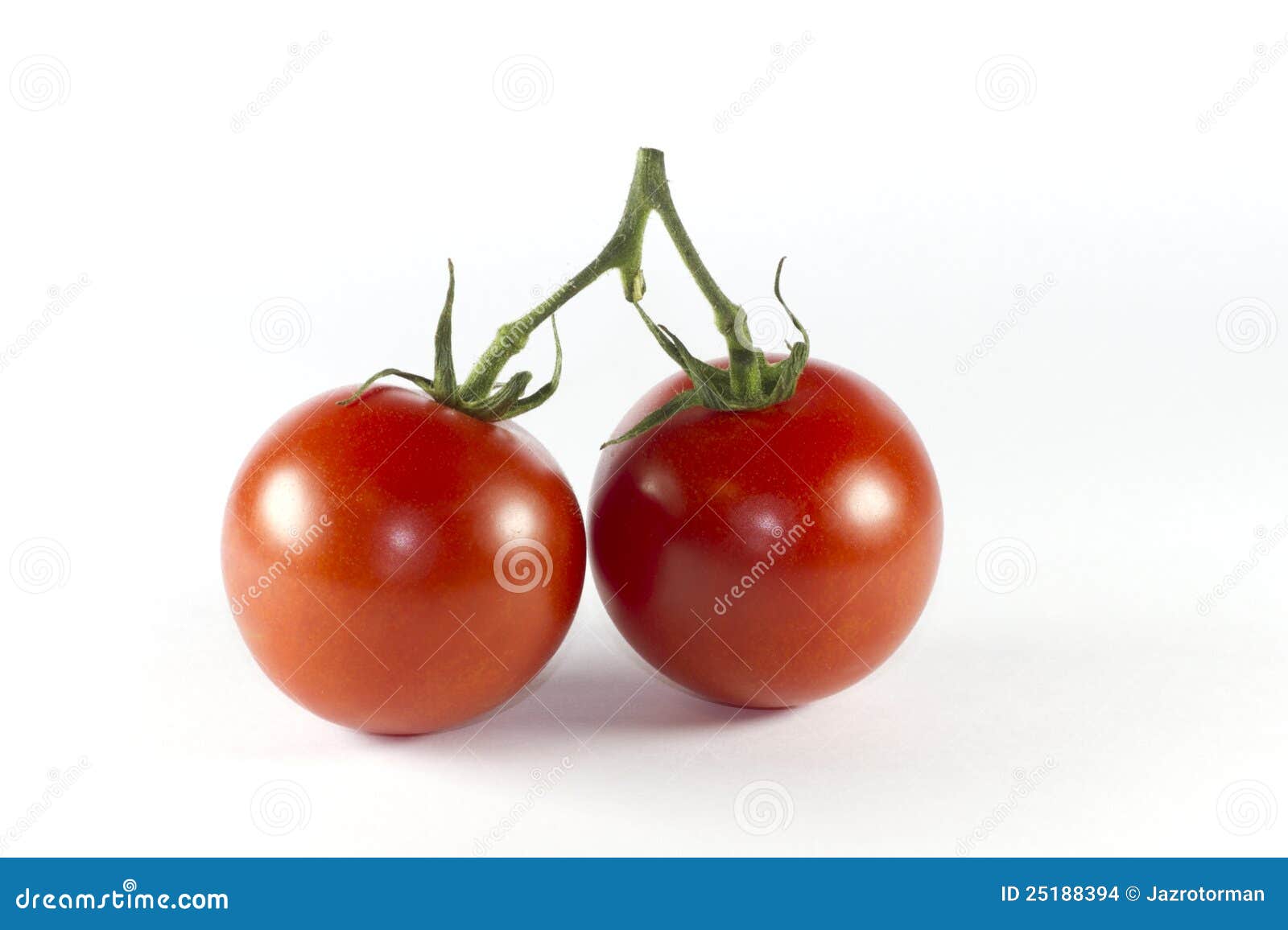 Two Red Tomatoes on the Vine Stock Photo - Image of leaf, green: 25188394
