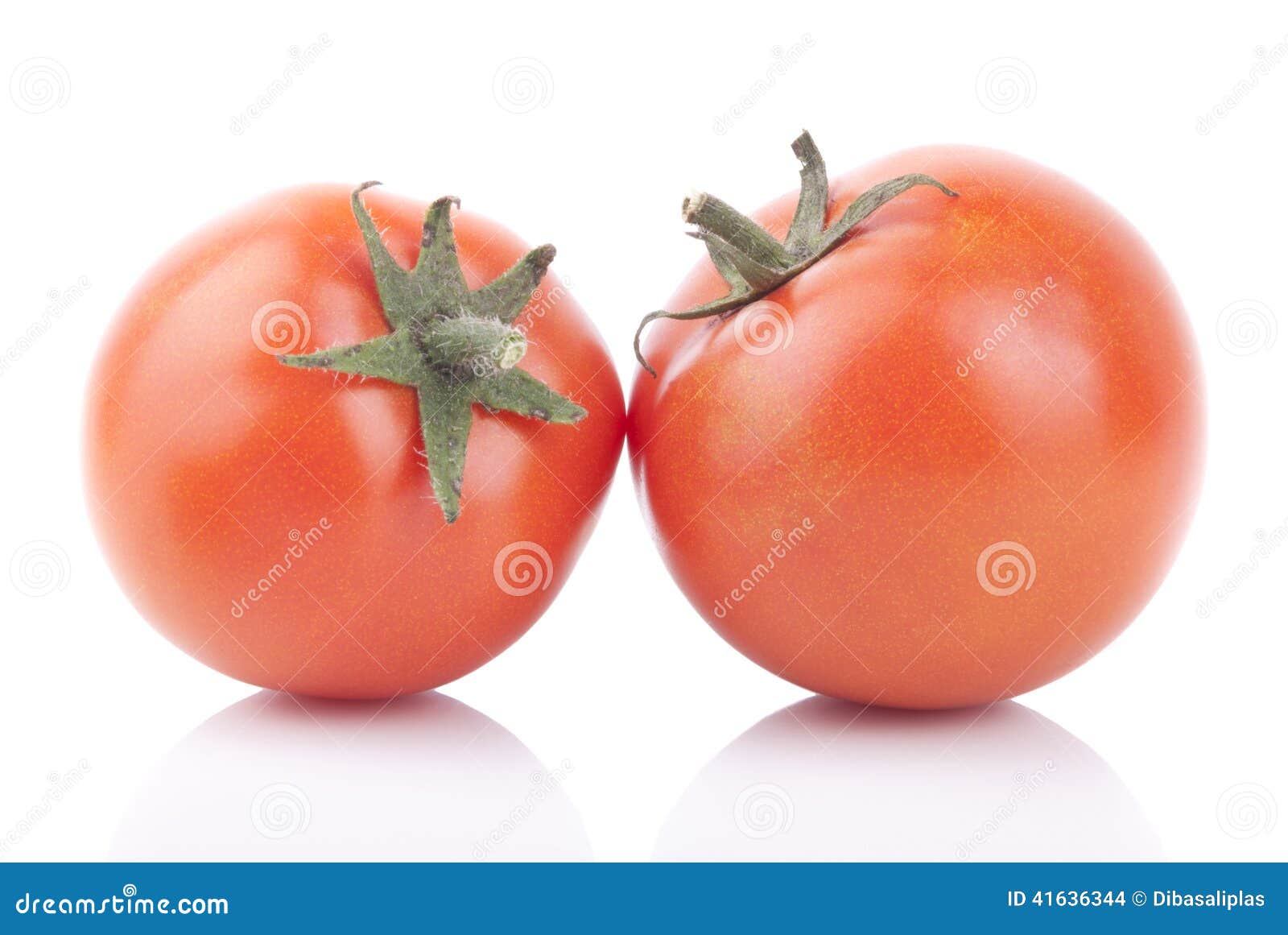 Two red tomatoes stock photo. Image of healthy, tomato - 41636344