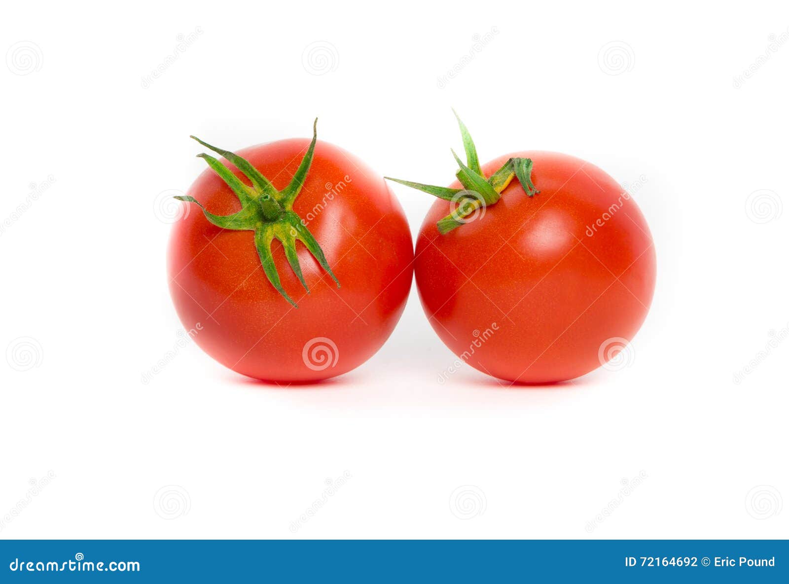 Two Red Tomatoes stock photo. Image of organic, vegetable - 72164692