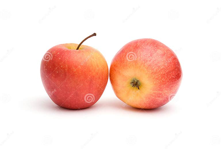Two red-yellow apples stock image. Image of nature, fruit - 12474395