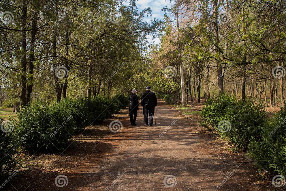 Two Retired People Take a Walk in the Park Stock Image - Image of ...