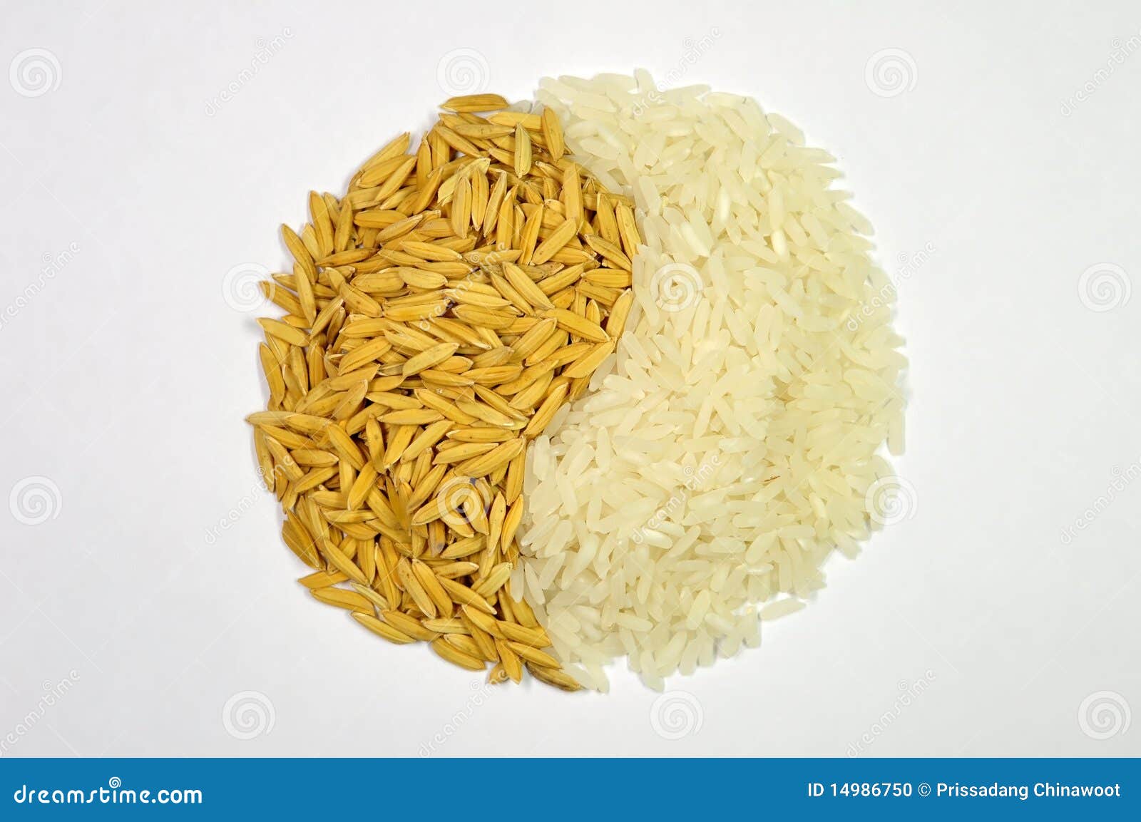 Two rice. stock photo. Image of white, heap, closeup - 14986750