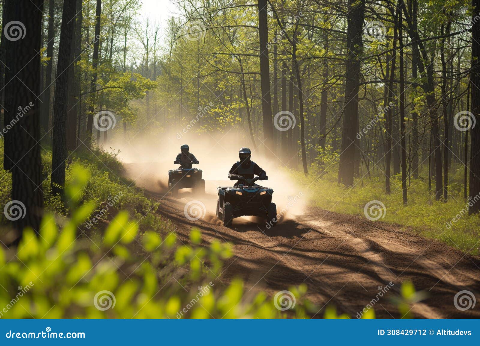 Two Riders on Atvs Racing Alongside a Forest Trail, Dust Trail Behind ...