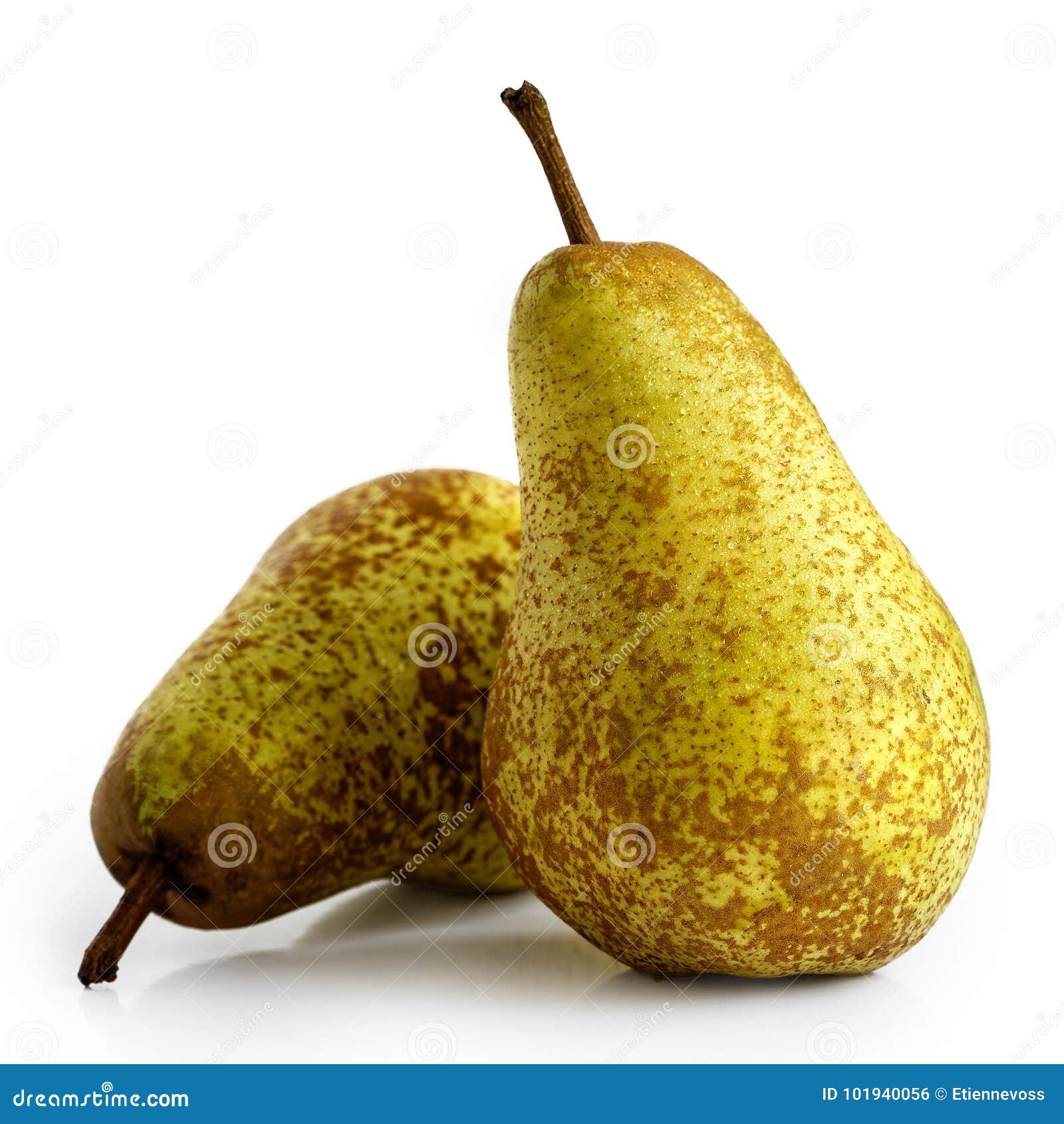 Two Abate Fetel Pears Isolated on White. Stock Photo - Image of abbe ...