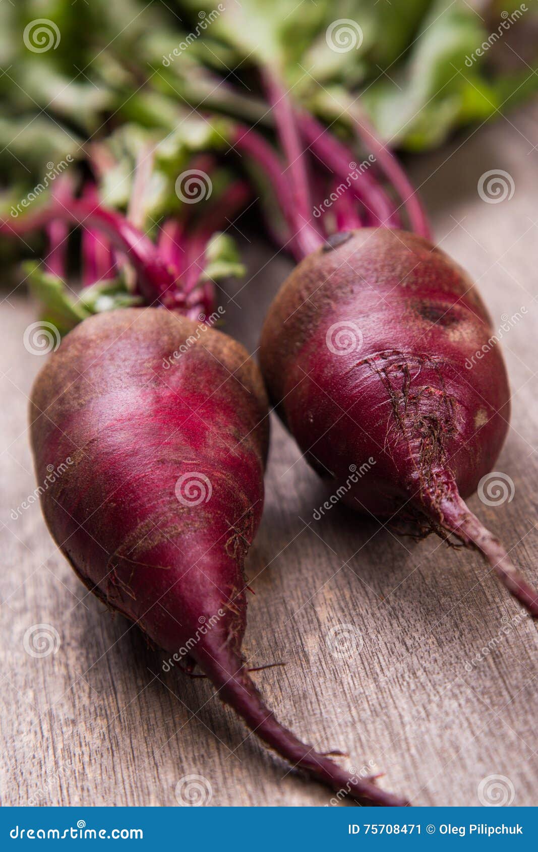 Two ripe beet stock image. Image of purple, brown, diet - 75708471