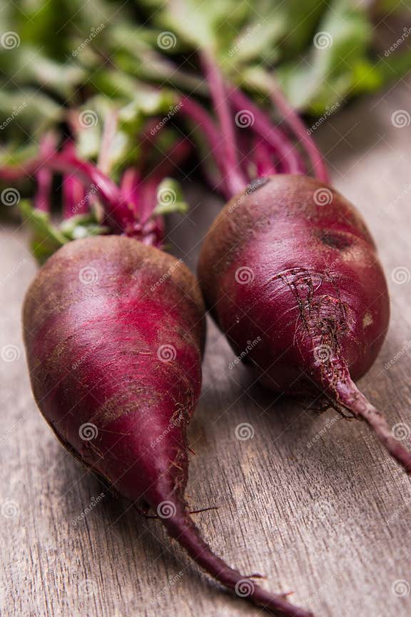 Two ripe beet stock image. Image of purple, brown, diet - 75708471