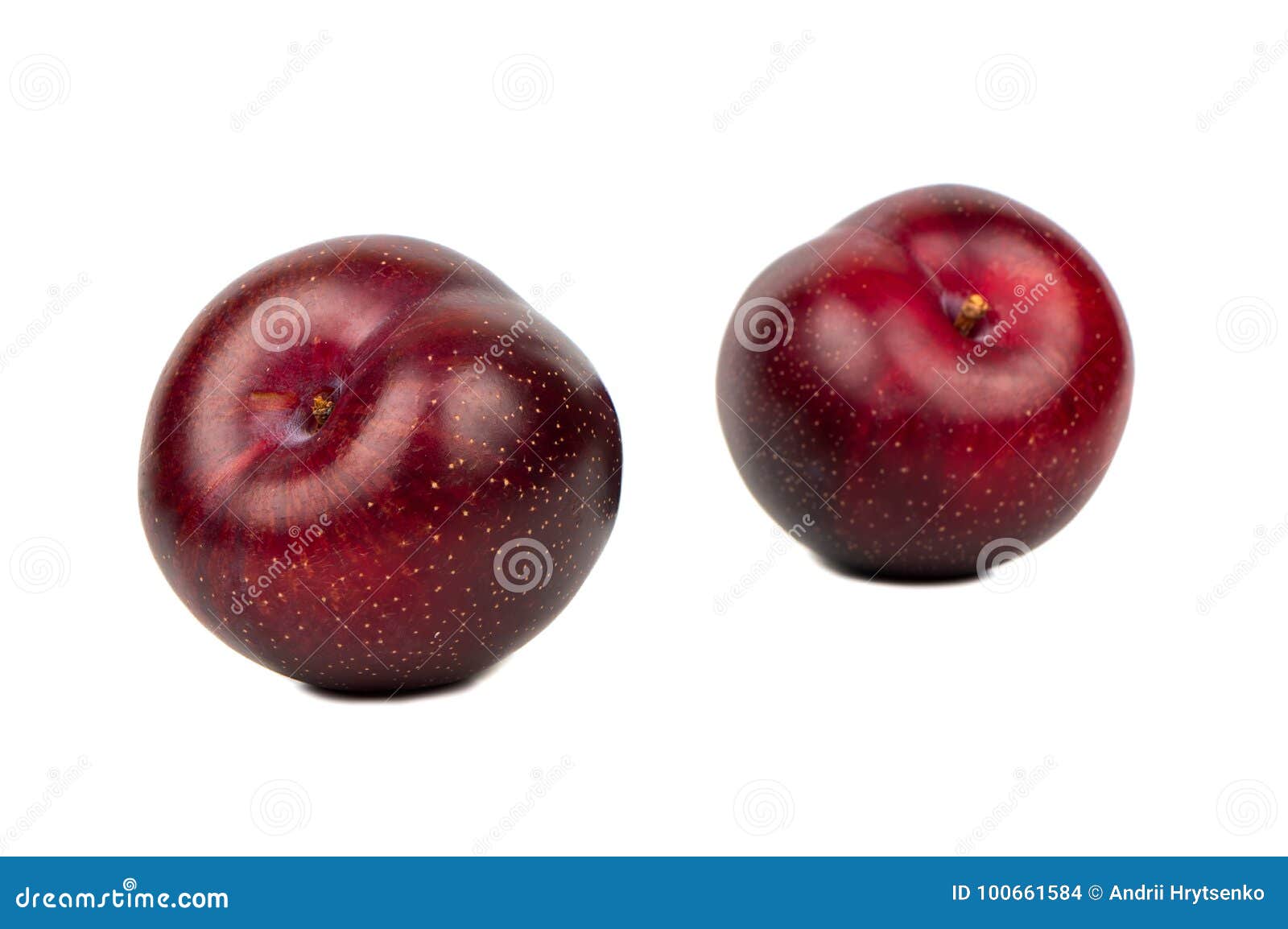 Two big red plums stock photo. Image of culture, fruit - 100661584