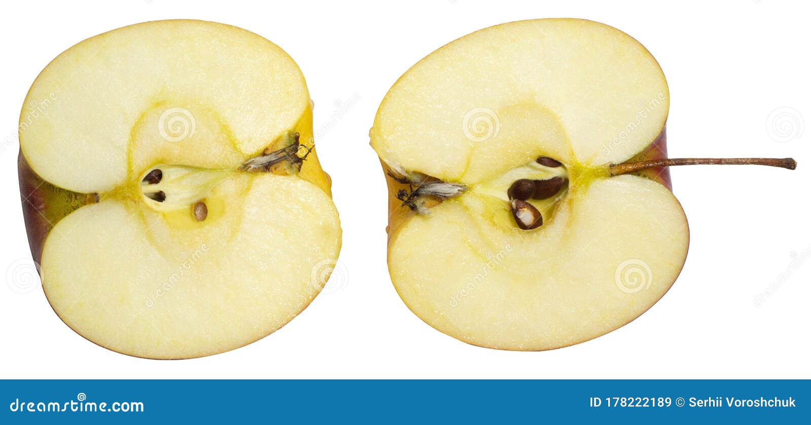 Two Ripe Delicious Apples, One Cut in Half Stock Image - Image of color ...