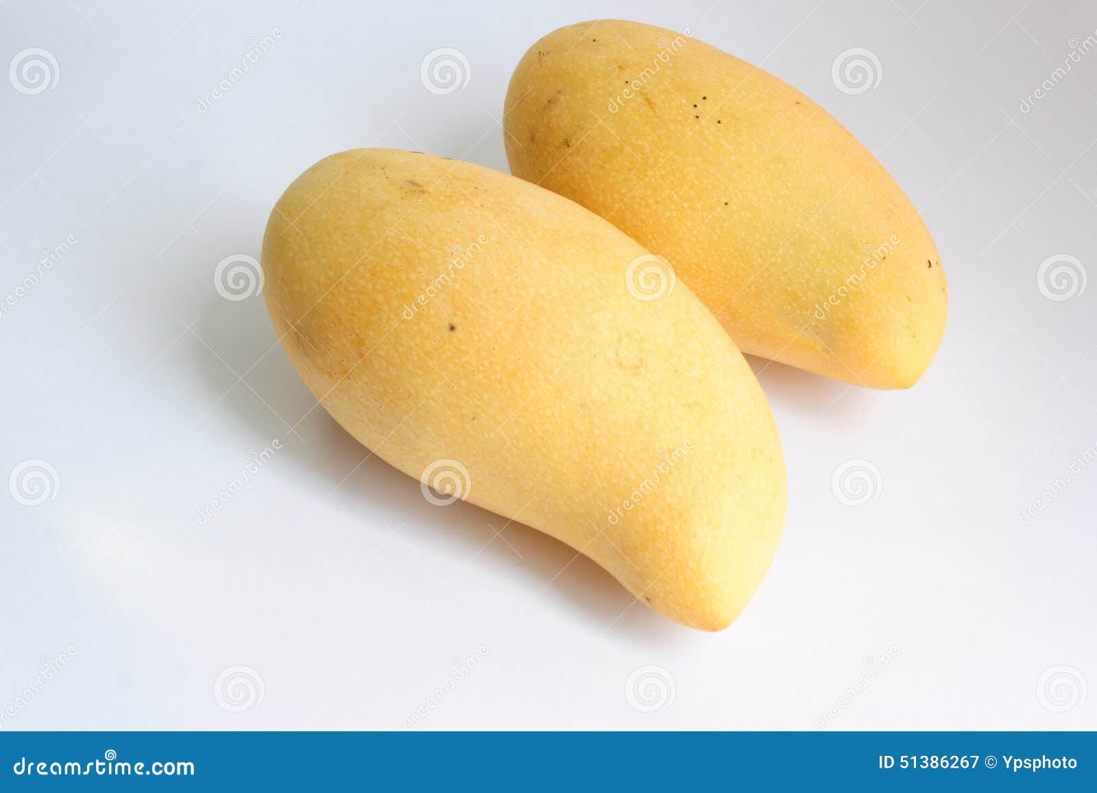 Two ripe mango stock image. Image of health, food, ripe - 51386267