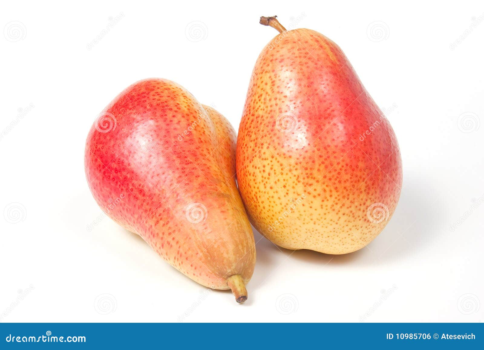 Two ripe pears stock photo. Image of yellow, snack, fruit - 10985706