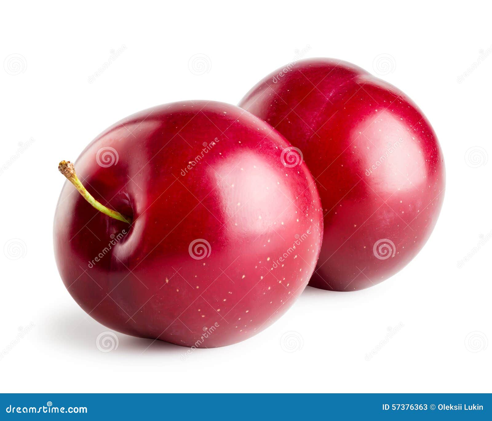 Two ripe plums stock image. Image of purple, food, healthy - 57376363
