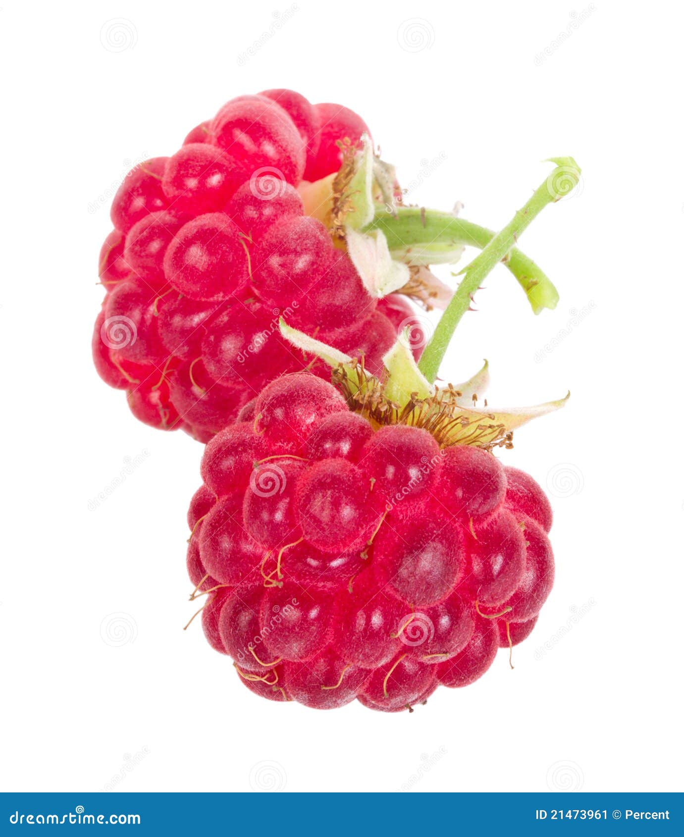 Two ripe raspberries stock image. Image of vegetarian - 21473961