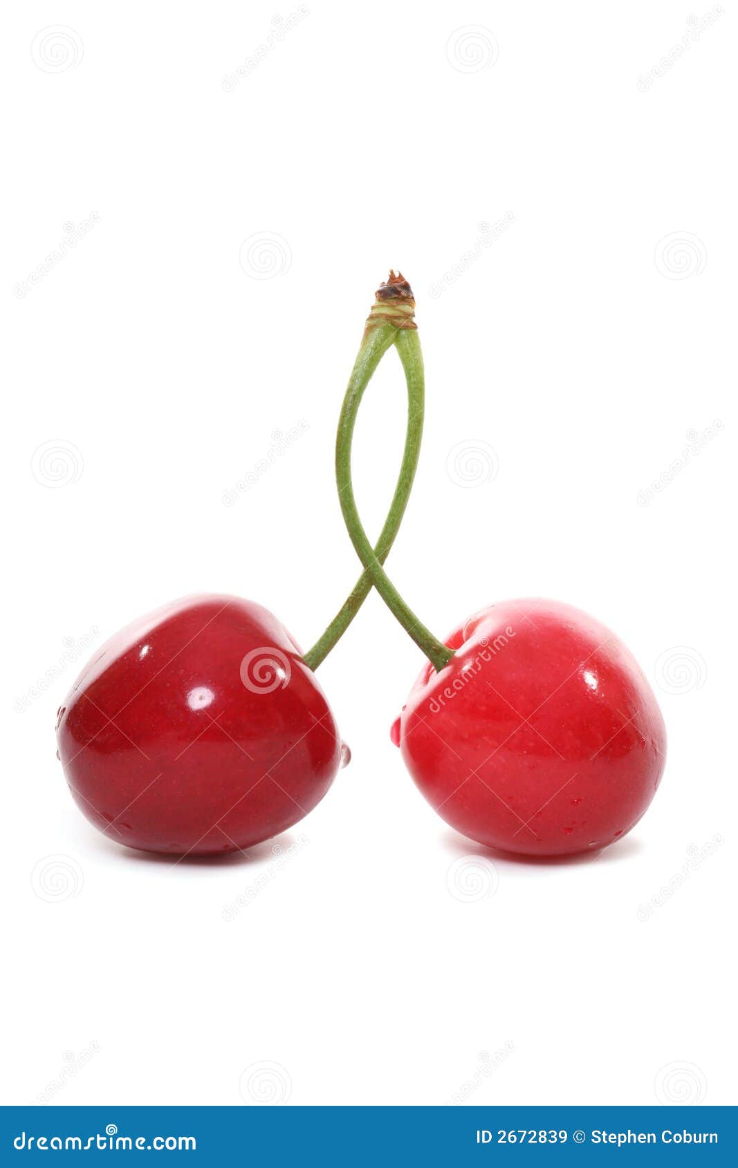 Two ripe red cherries stock image. Image of white, appetising - 2672839