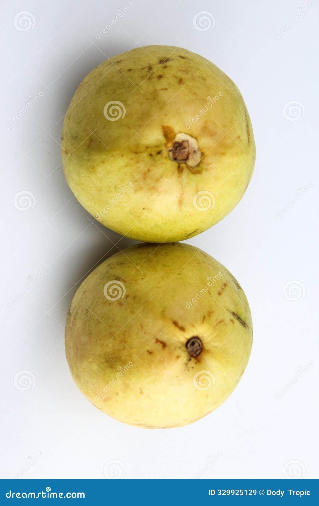 Two Ripe Red Guavas on a White Isolated Background Stock Image - Image ...