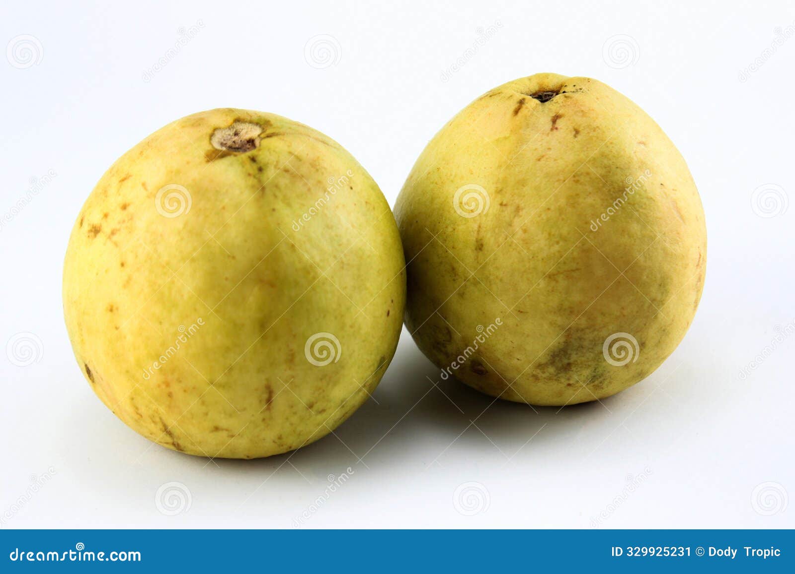 Two Ripe Red Guavas on a White Isolated Background Stock Image - Image ...