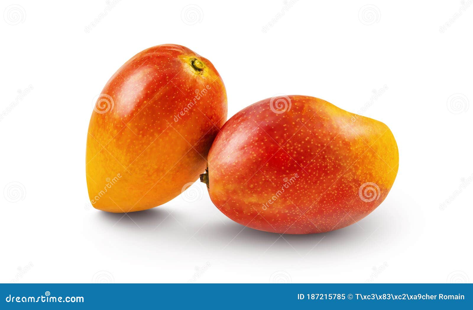 Two Ripe Red and Yellow Mangoes Isolated on White Background Stock ...