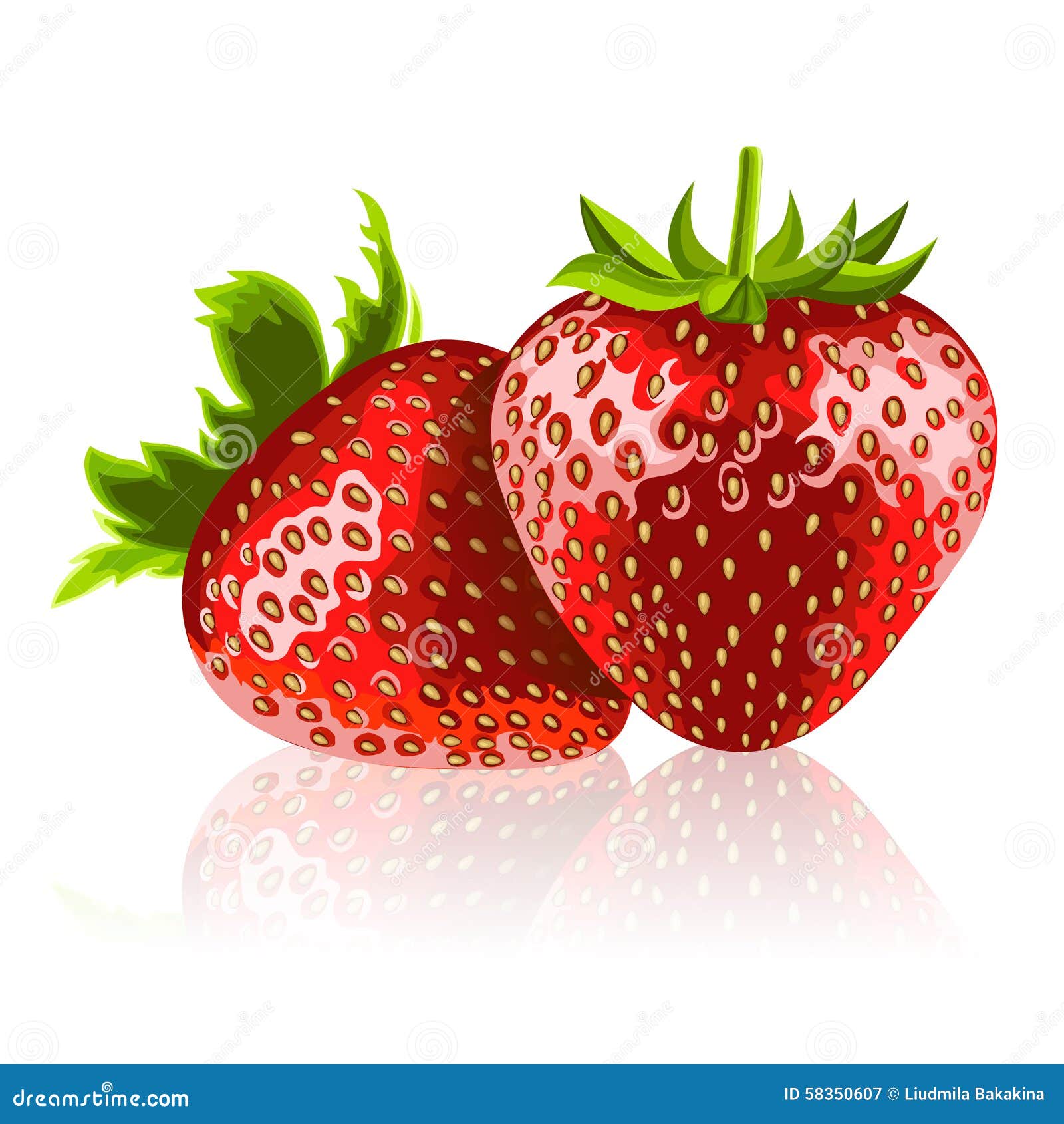 Two ripe strawberries stock vector. Illustration of healthy - 58350607