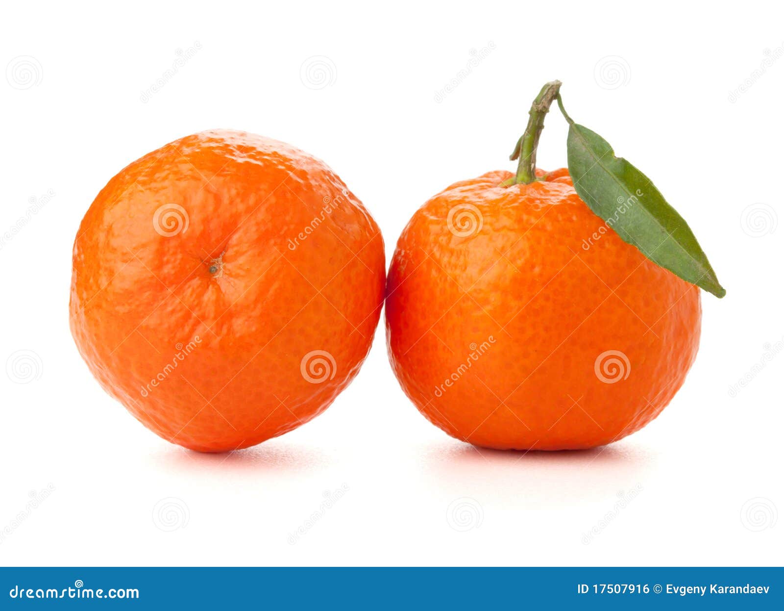 Two ripe tangerines stock photo. Image of macro, exotic - 17507916