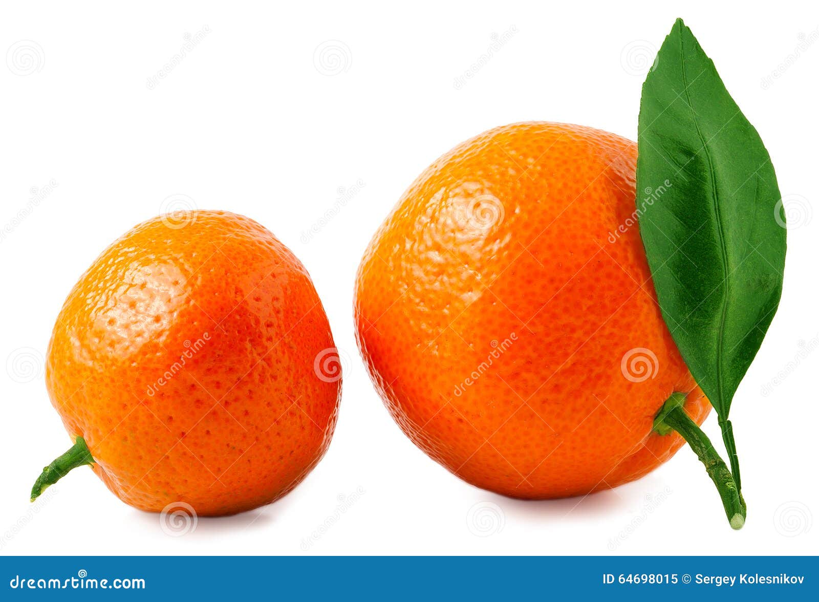 Two Ripe Tangerines Isolated on White Background Stock Image - Image of ...