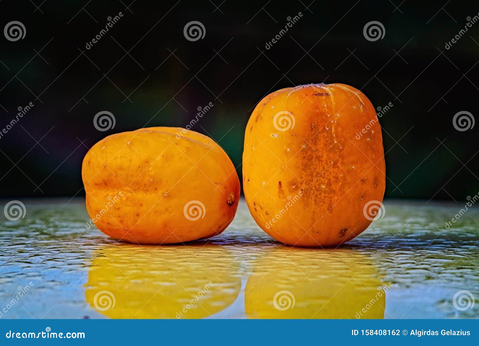 Two Ripe True Lemon Cucumbers on a Wet Surface Stock Photo - Image of ...