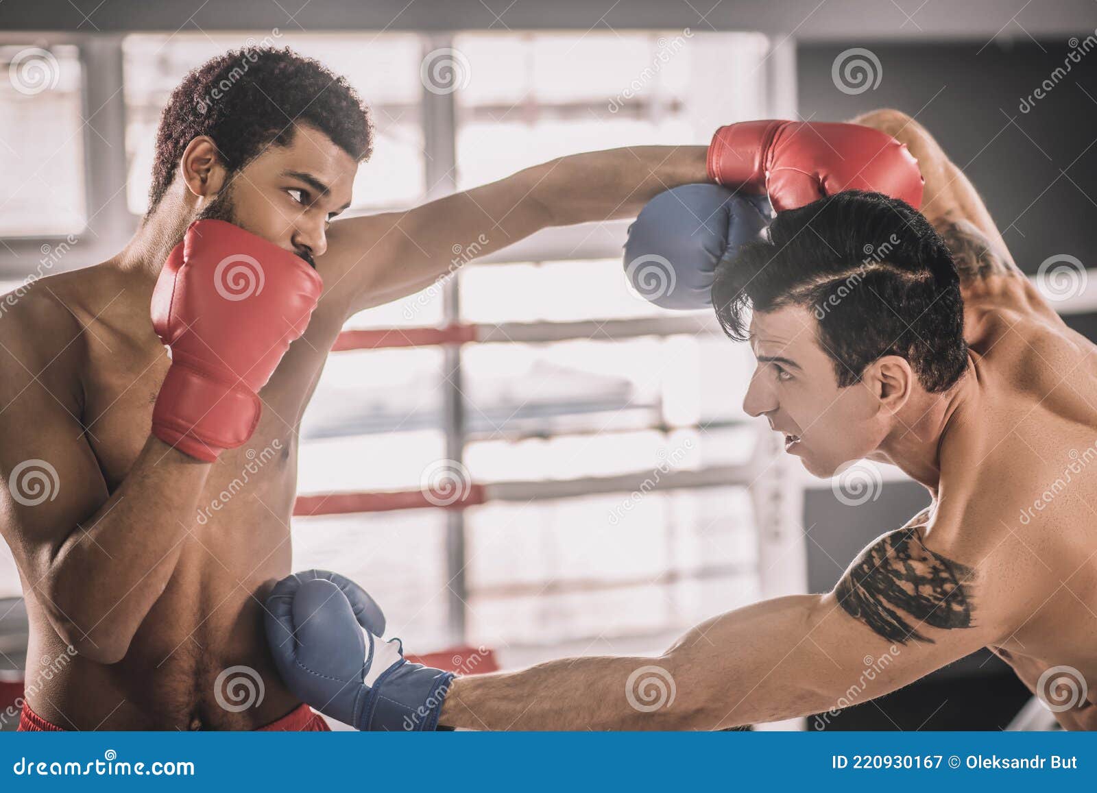 Two Rivals Having a Fight on a Boxing Ring and Looking Aggressive Stock ...