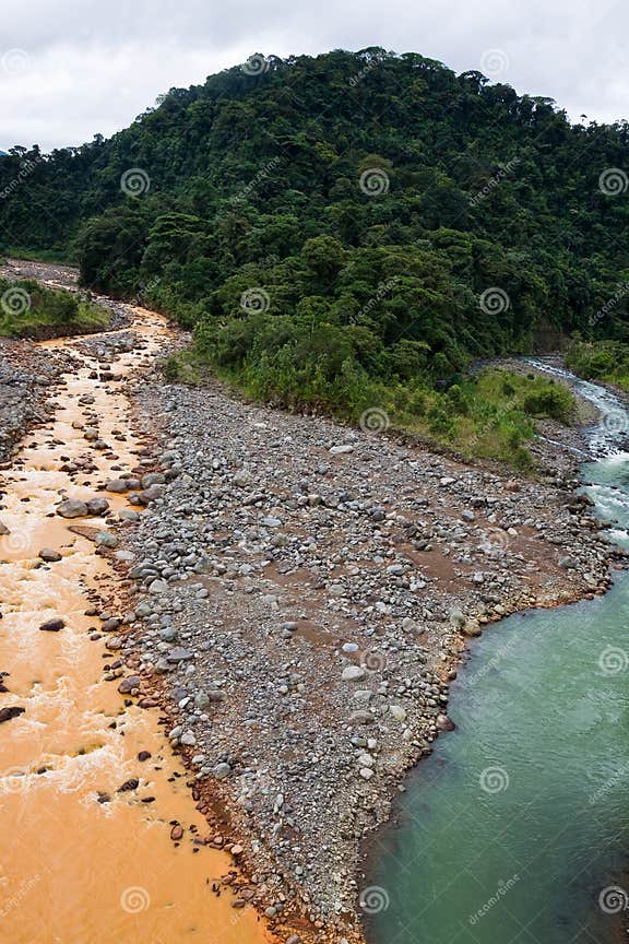Two Rivers Blending Together into One Stock Image - Image of stream ...